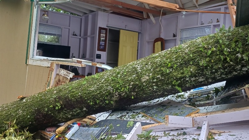 Fundraiser by Michael McNamara : Bruce McNamara clean up and…