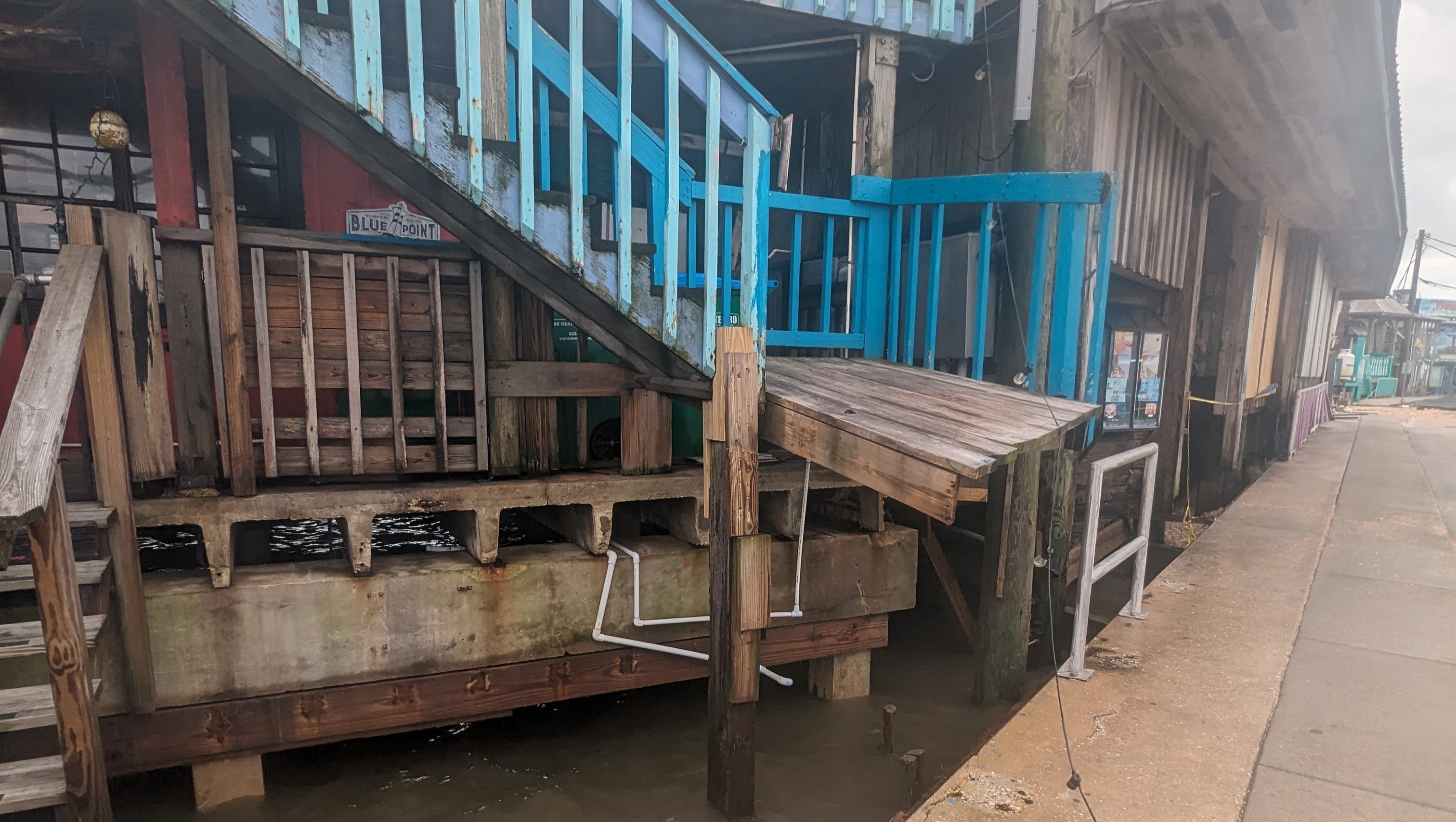 Fundraiser by Miranda Fox : Save The Cow After Hurricane Idalia