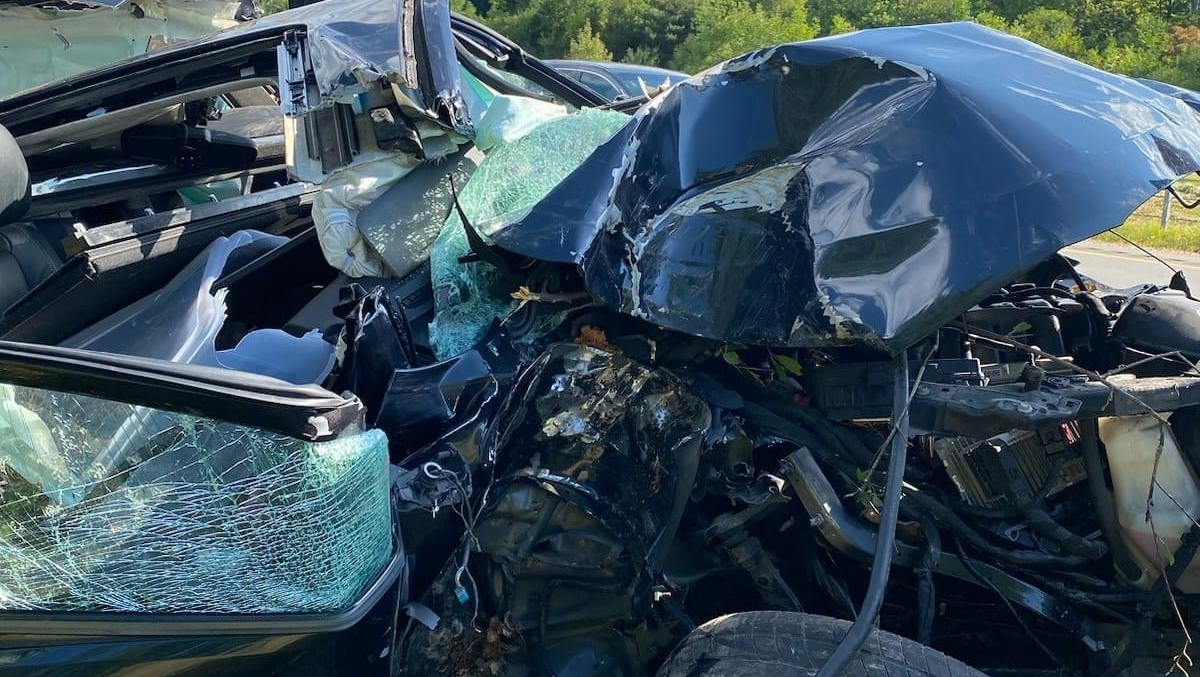 Fundraiser for Michelle Green by Steve and Jamie Krukowski : The Green ...