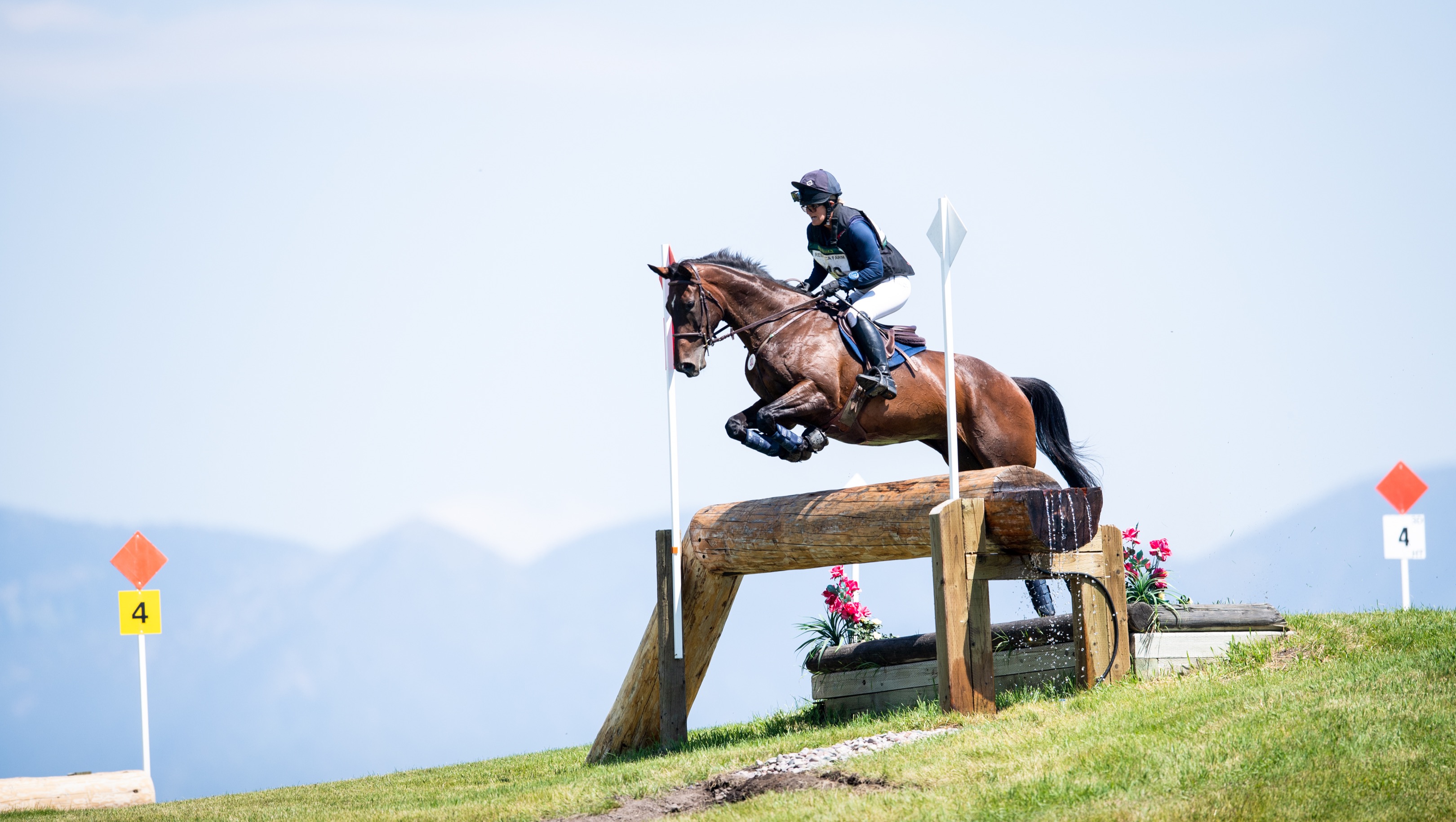 Fundraiser by Amy Bowers : Amy Bowers Mare "Belle" ICU Medical Bills