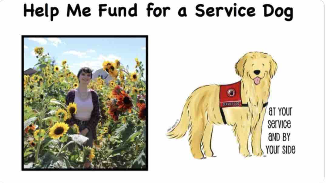 Fundraiser for Noble Service Dogs by Amanda Rutkowski : Service Dog for ...