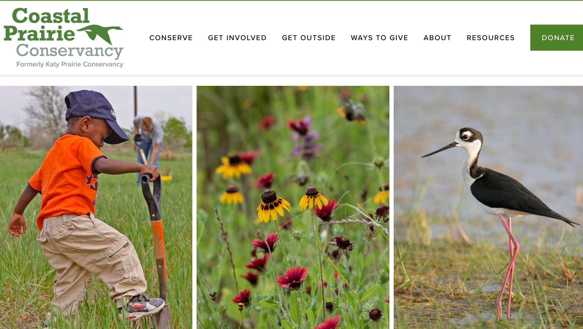 Fundraiser by Declan Barbosa : Coastal Prairie Conservancy Eagle Scout ...