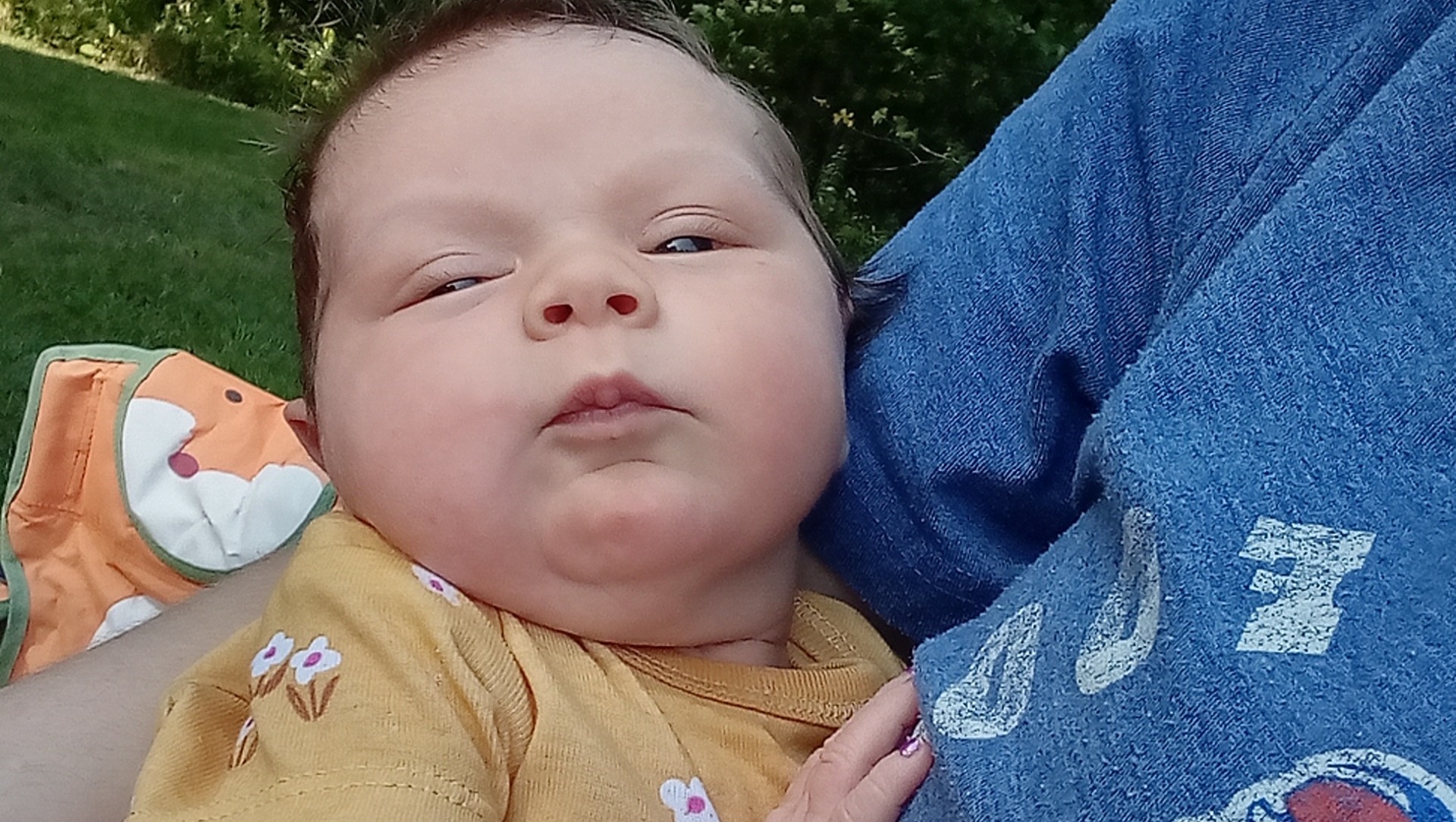 Fundraiser by Sadie Deitz : Elowen Rae Deitz