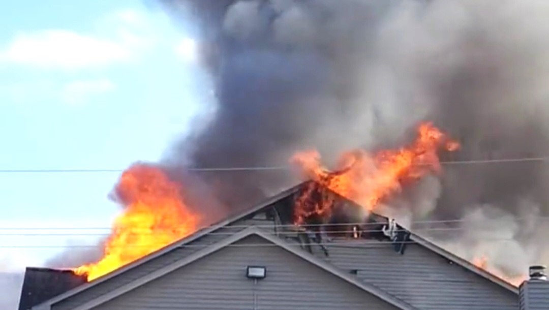 Fundraiser for Haley Melvin by Jennifer Porter : Haley Melvin and Cole ...