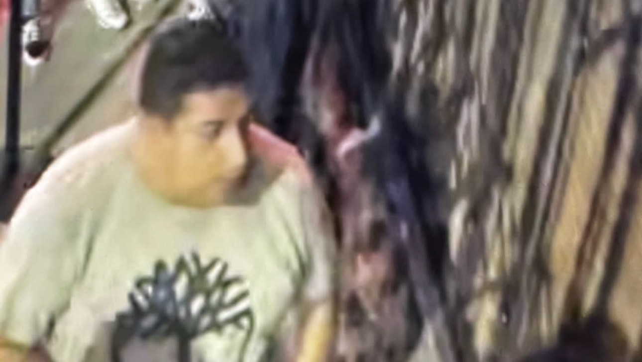 Fundraiser by Jerren Werbes : Bears in Space Theft Recovery