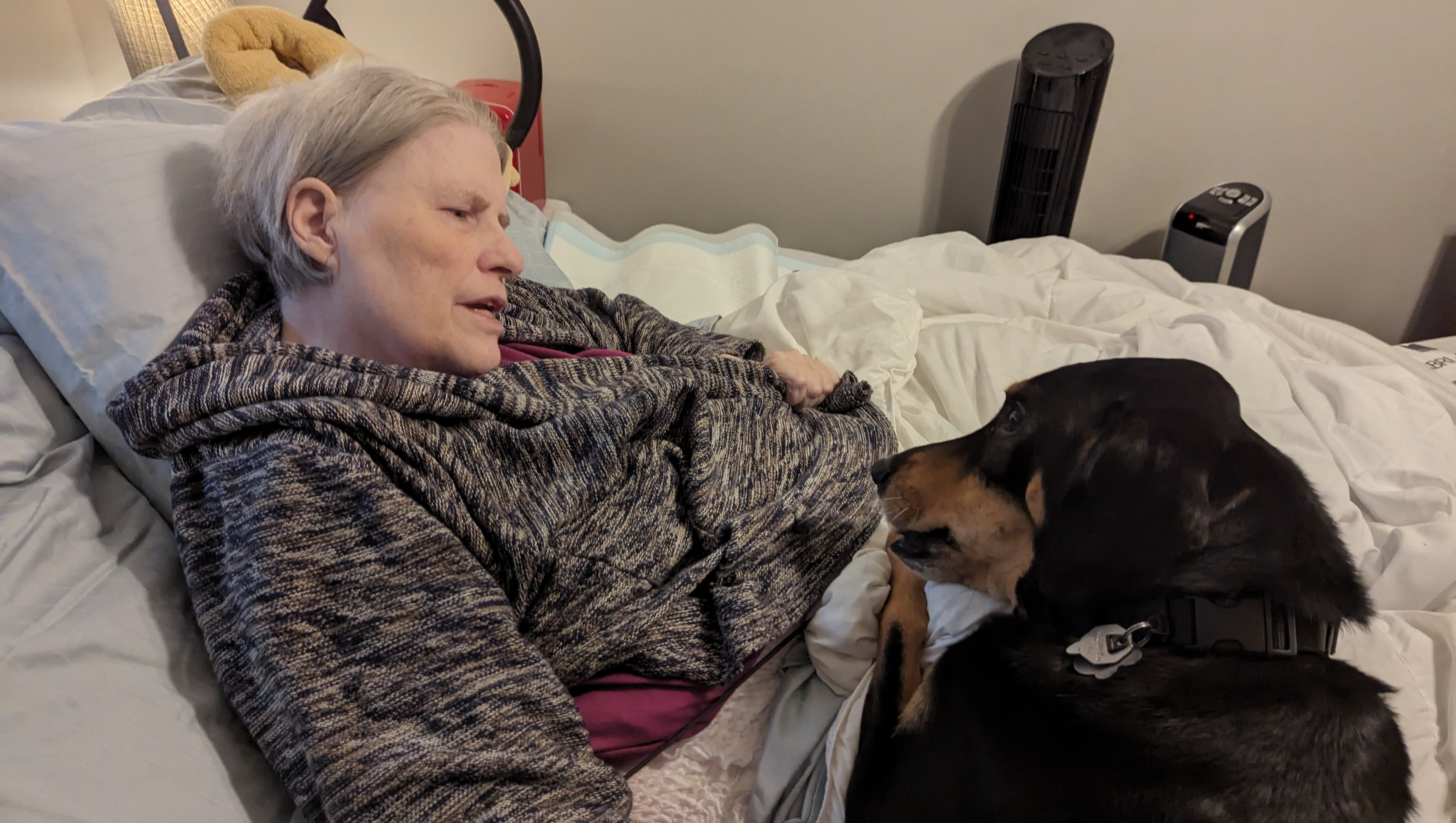 Fundraiser by Lauren Cooper : Jeanie Cooper, Veteran