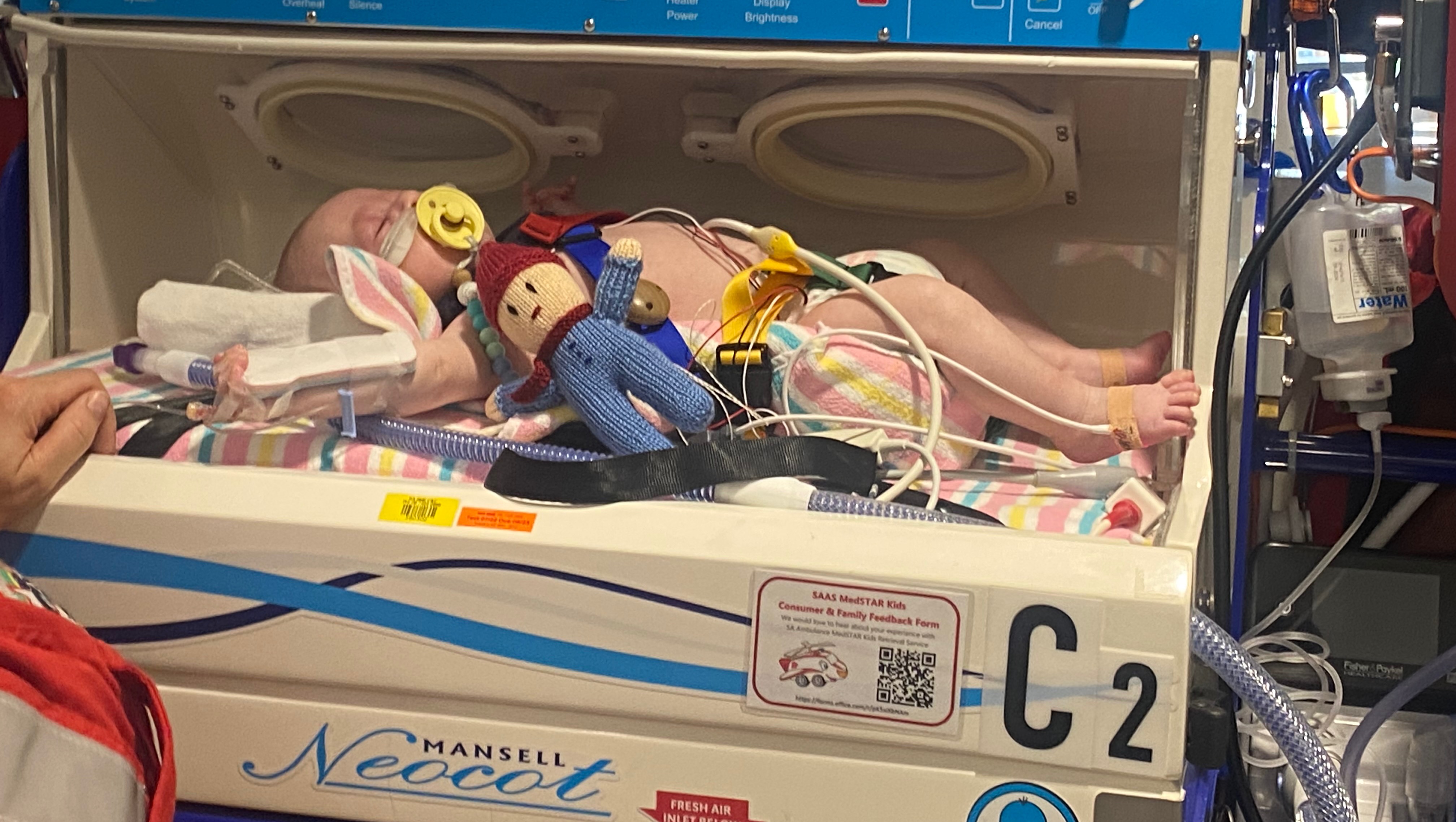 Fundraiser by Chantel Phelps : Please Help our little Leo