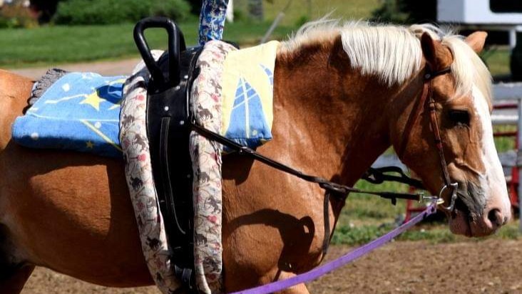 Fundraiser by Ashley Brandt : Chunky Monkey medical bills