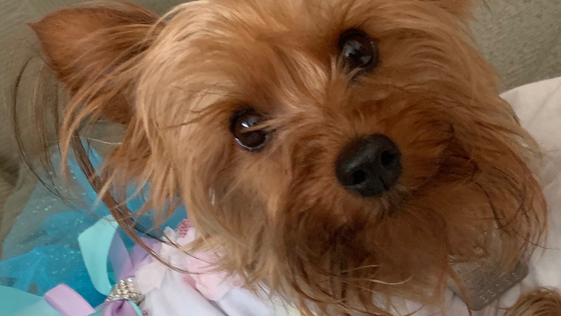 Fundraiser by Shenetta Johnson : Kaye Kaye’s bladder surgery