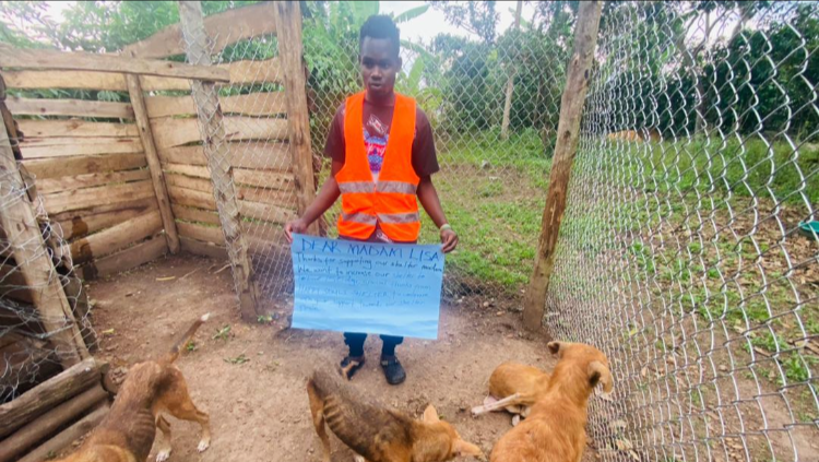 Fundraiser for Lisa Pfeffer by Saul Lubega : Help us expand our shelter ...