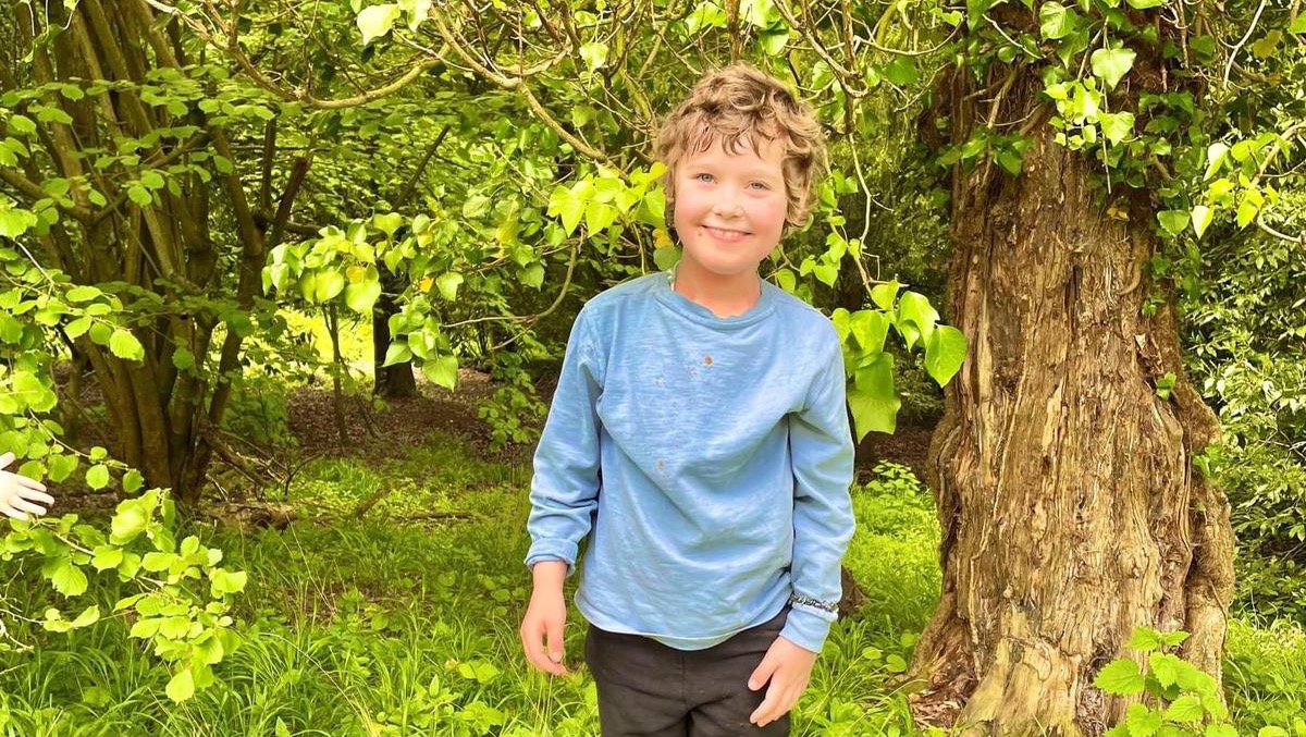 Fundraiser by Ashley Sehl : Theo Jones