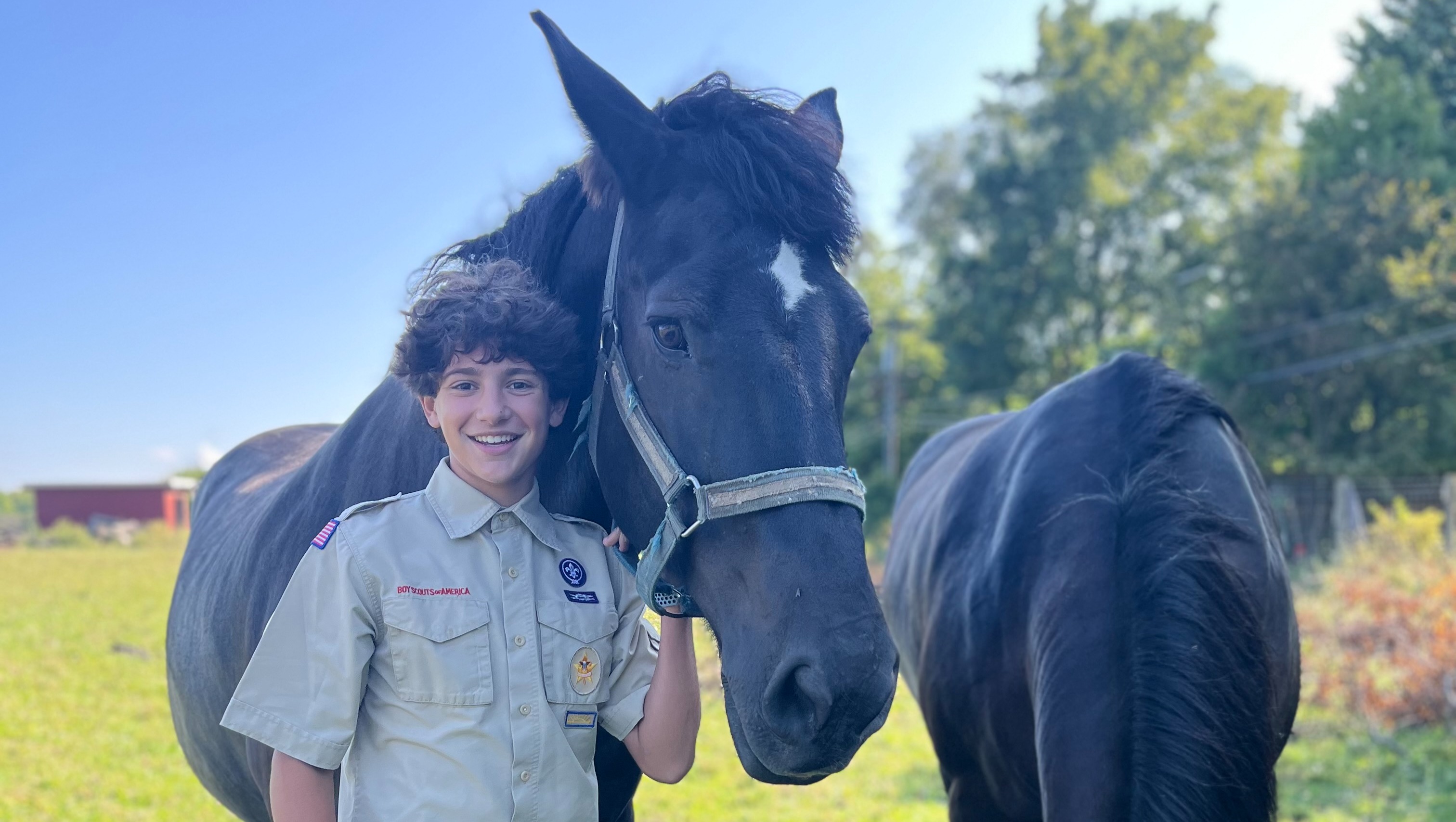 Fundraiser by Logan Ball : Logan's Eagle Scout Project