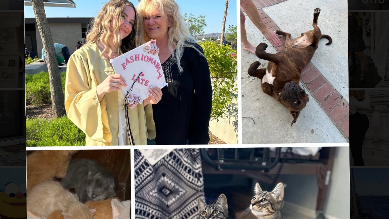 Fundraiser by Ravin Spangler : Momma Paula