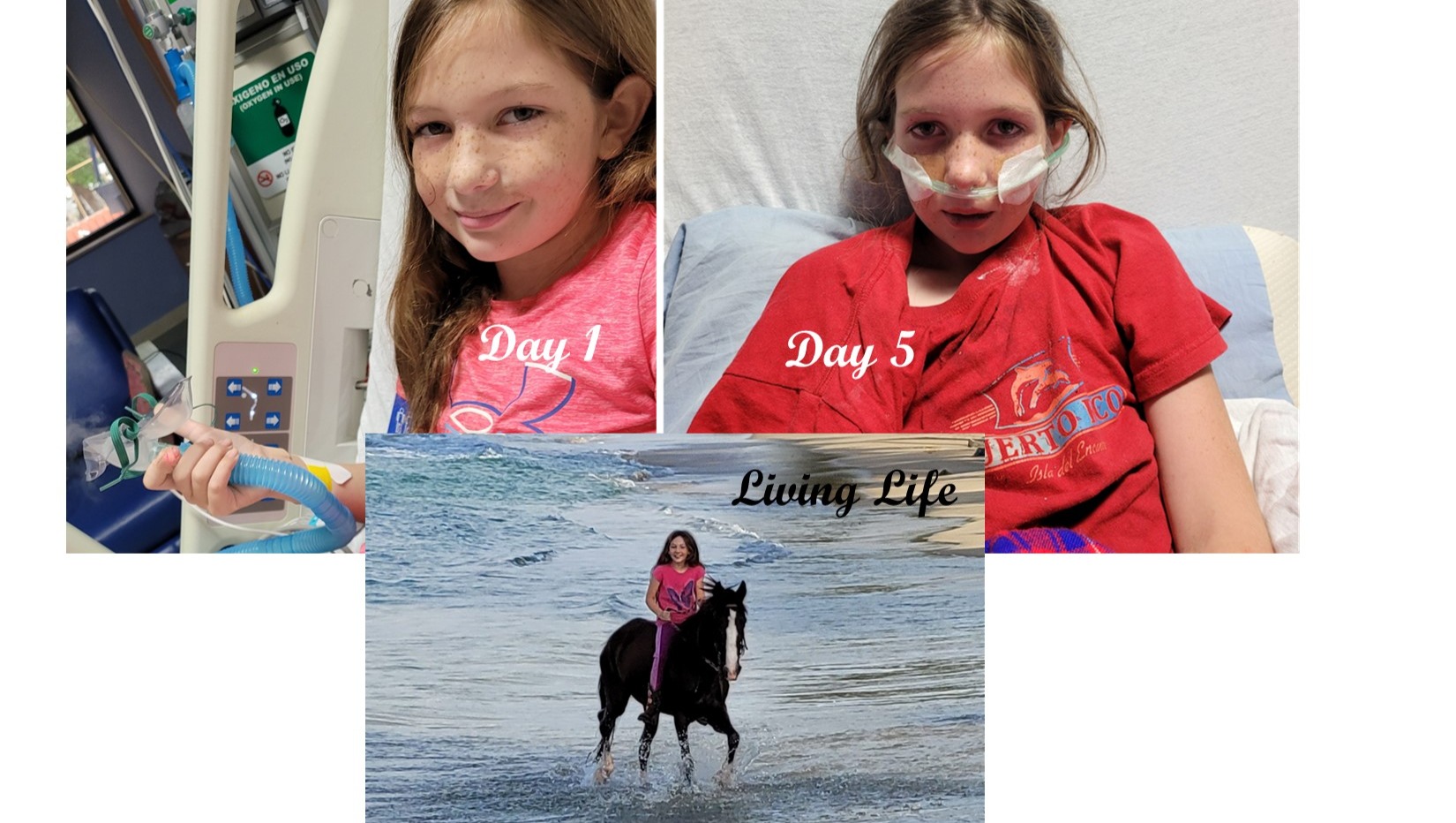 Fundraiser for Faith Wilt by Tina Pratt : Kaylynn Needs Our Help! Fundraiser for Faith Wilt by Tina Pratt : Kaylynn Needs Our Help!