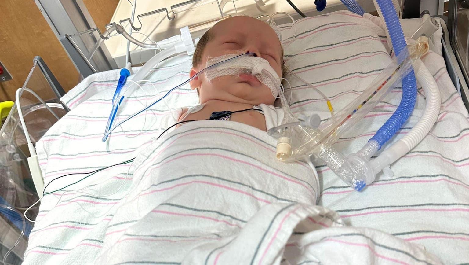 Fundraiser for Brittany Ritchie by Shawna Fletcher : Baby Bo Fund