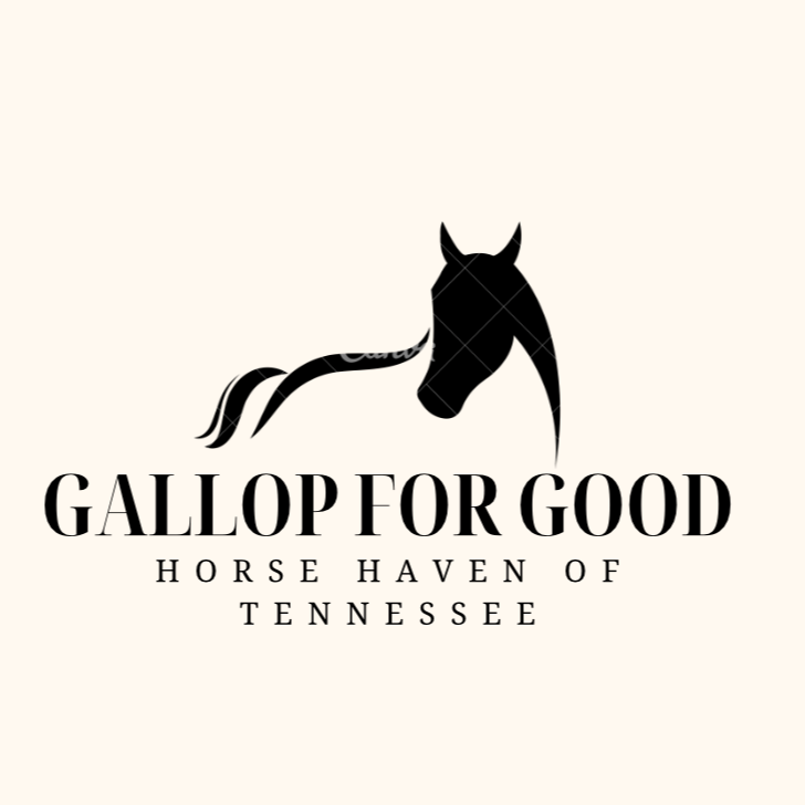 Fundraiser by Mackenzie Riordan : Gallop For Good - Horse Haven of ...