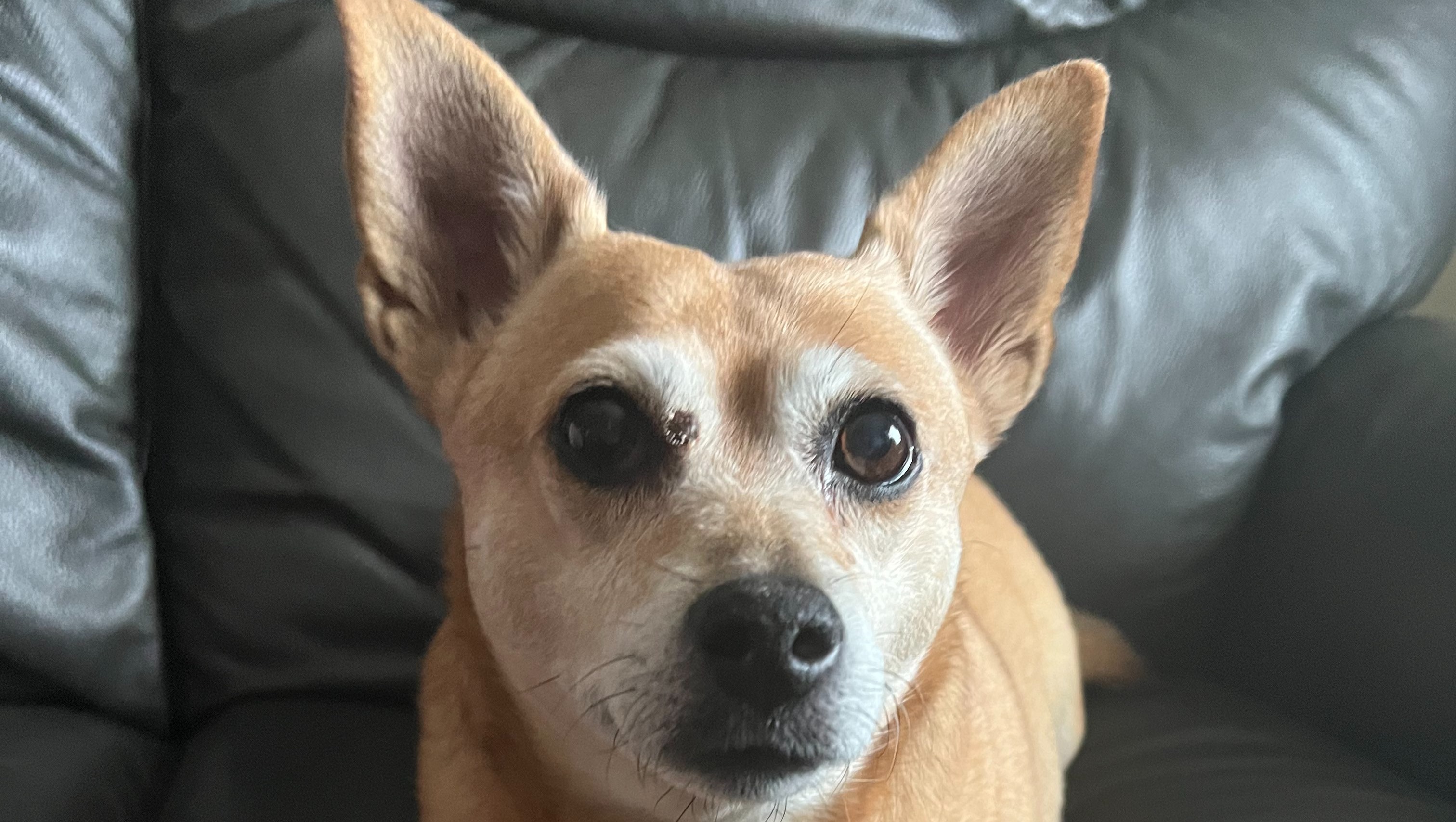 Fundraiser by Zachary Singer : Zac Emergency Fund