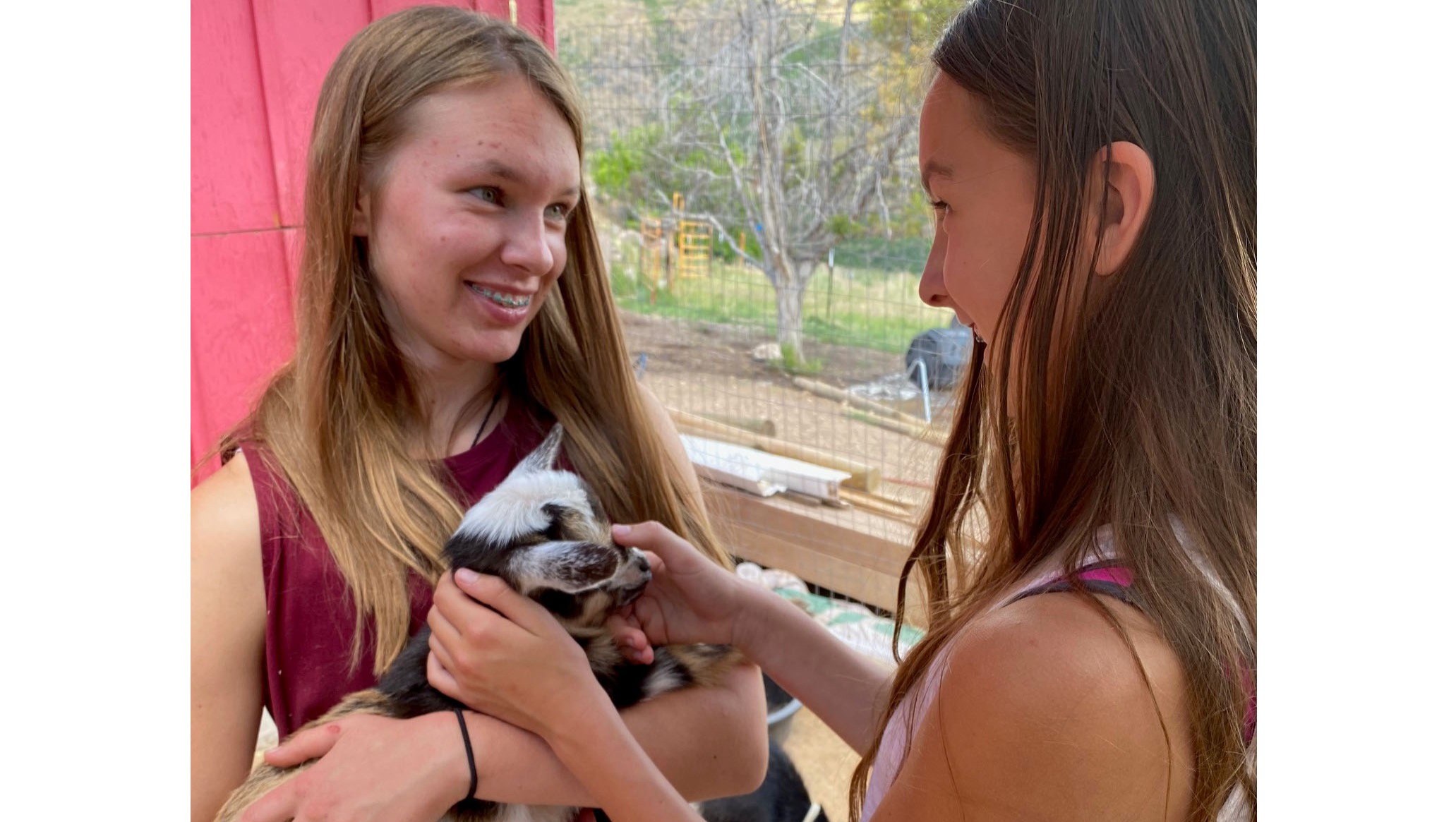 Fundraiser by Megan Dean : Help Madeline get a seizure service dog!