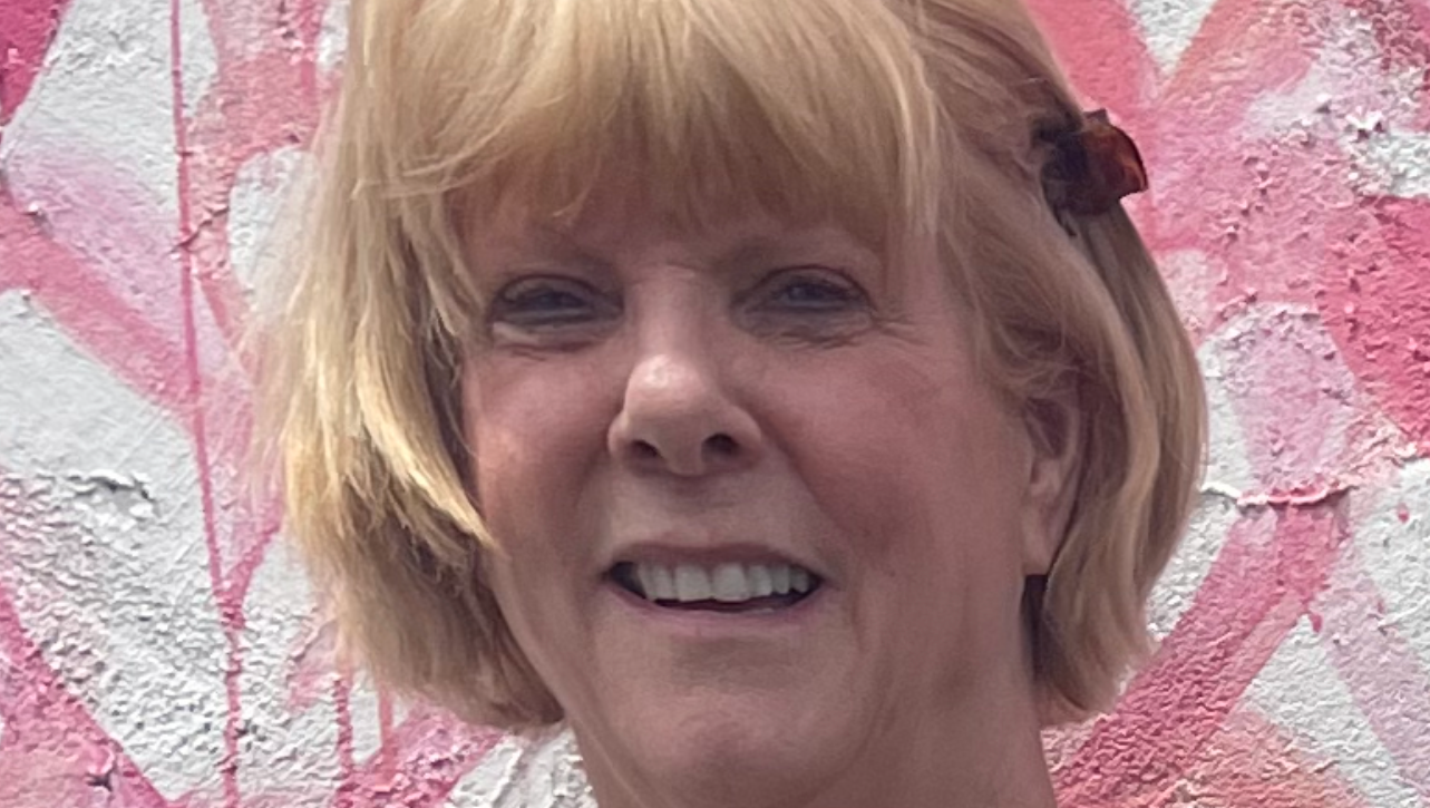 Fundraiser for Michael Domico by Nikki Burk : Ann Domico Lung Transplant