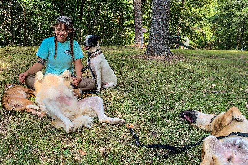 Fundraiser by Lindsey Gorman : START OUR ANIMAL RESCUE