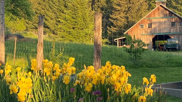 Fundraiser for ano n by Glyn Wilson-Charles : Help Black, trans ...