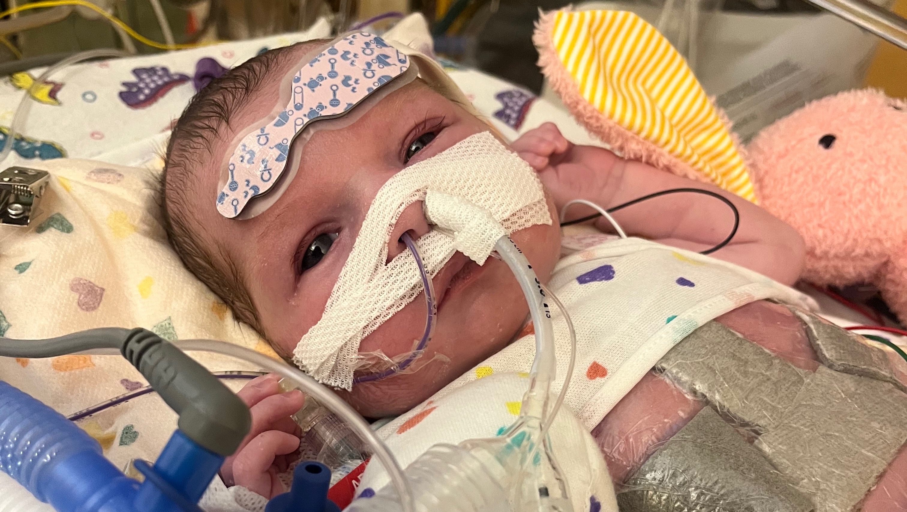Fundraiser for Mackenzie Trost by Kelly Dahl : Natalia Jade Trost