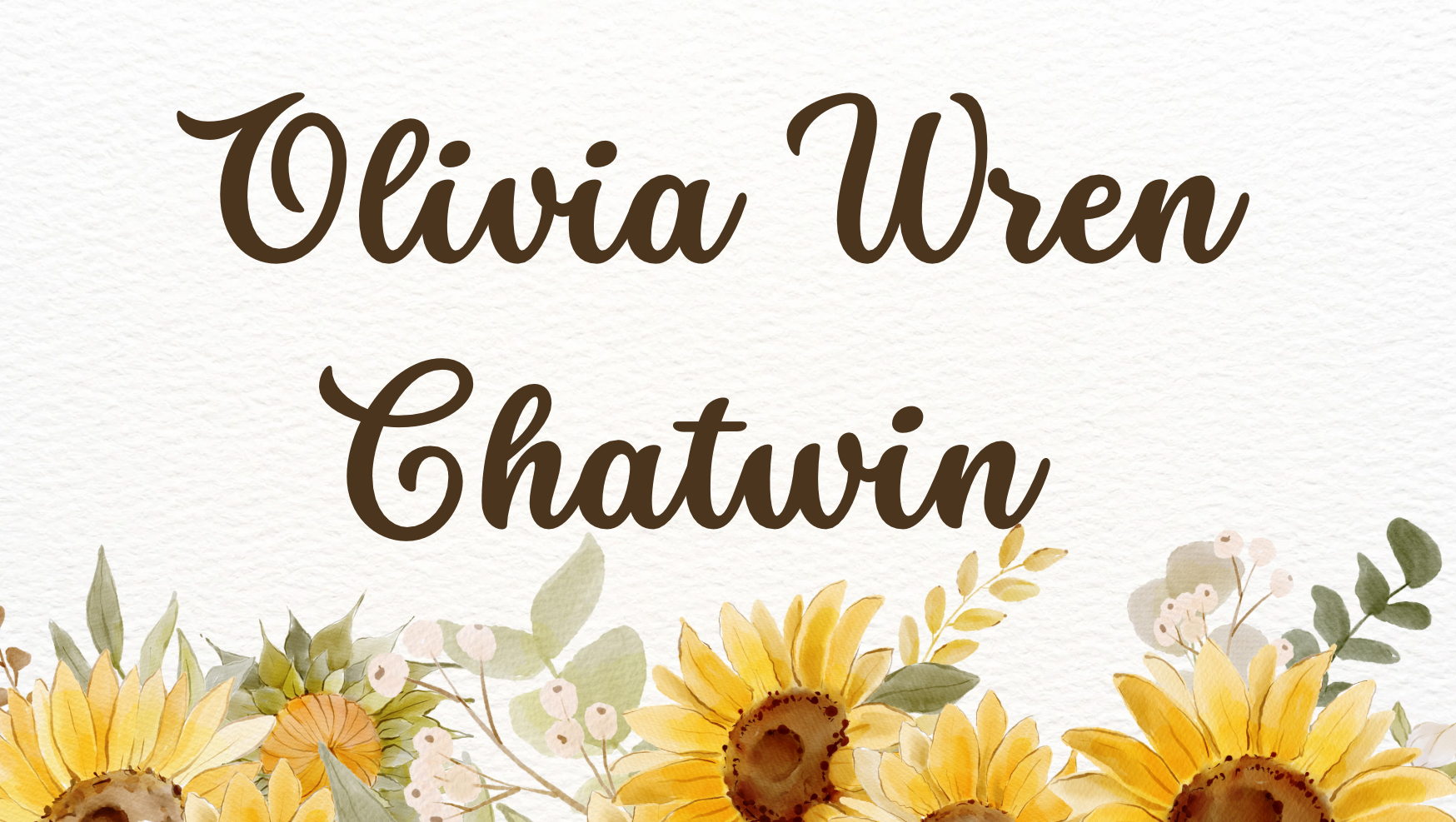 Fundraiser for Deston Chatwin by Nicole Hemsley : Olivia Wren Born ...