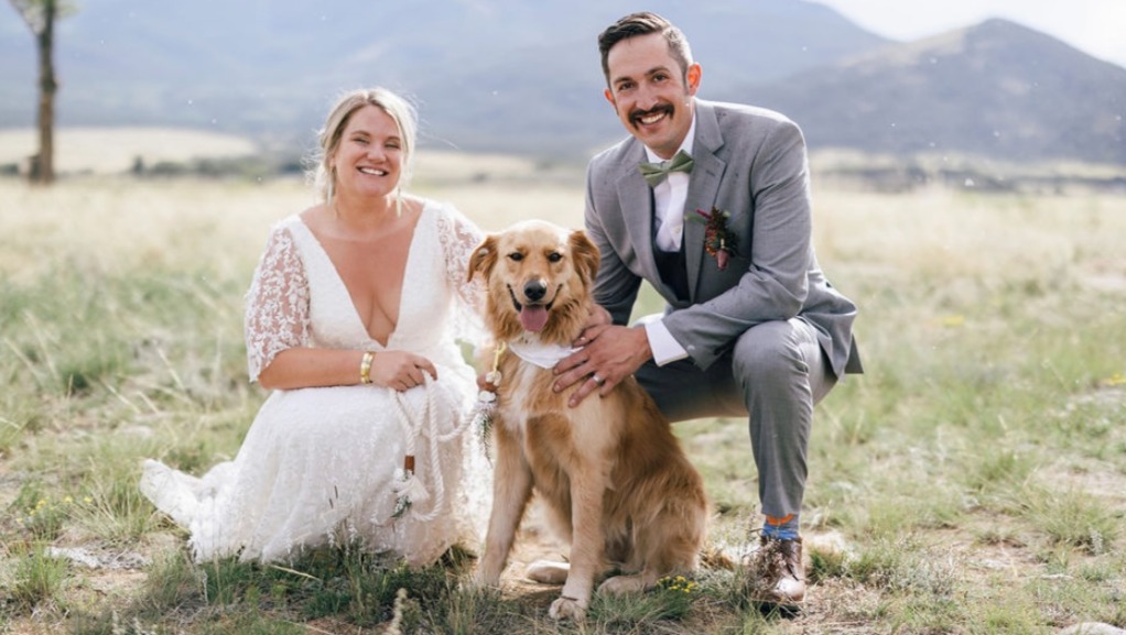 Fundraiser for Kelley Wren by Leanne Wren : Mango's chemotherapy treatment