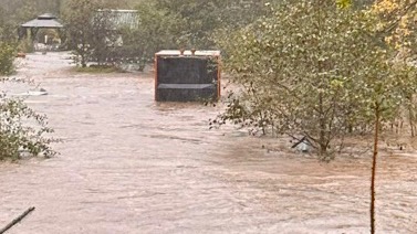 Fundraiser for Gabriel neamtu by Gael Fletcher : Save The River Shack