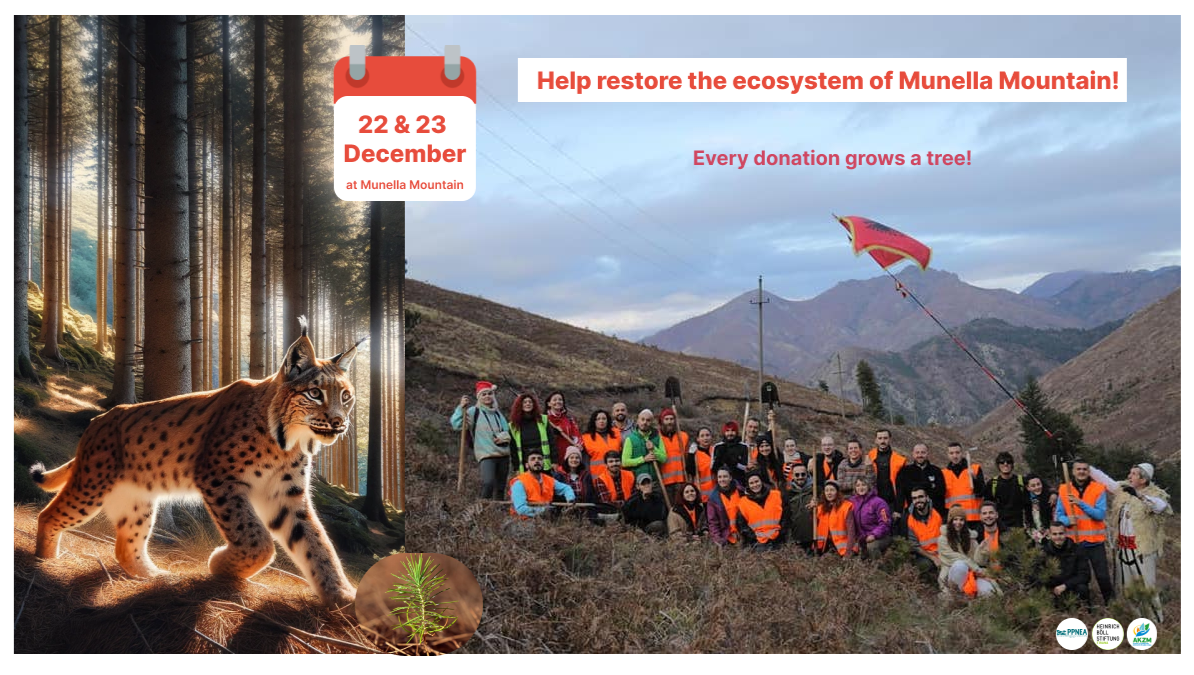 Fundraiser by Roland Lleshi : Help restore the ecosystem of Munella ...