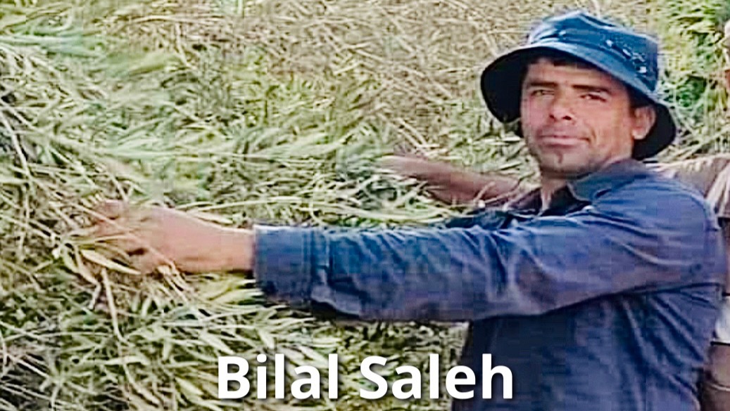 Fundraiser by Cyrus Copeland : TREEDOM FOR PALESTINE