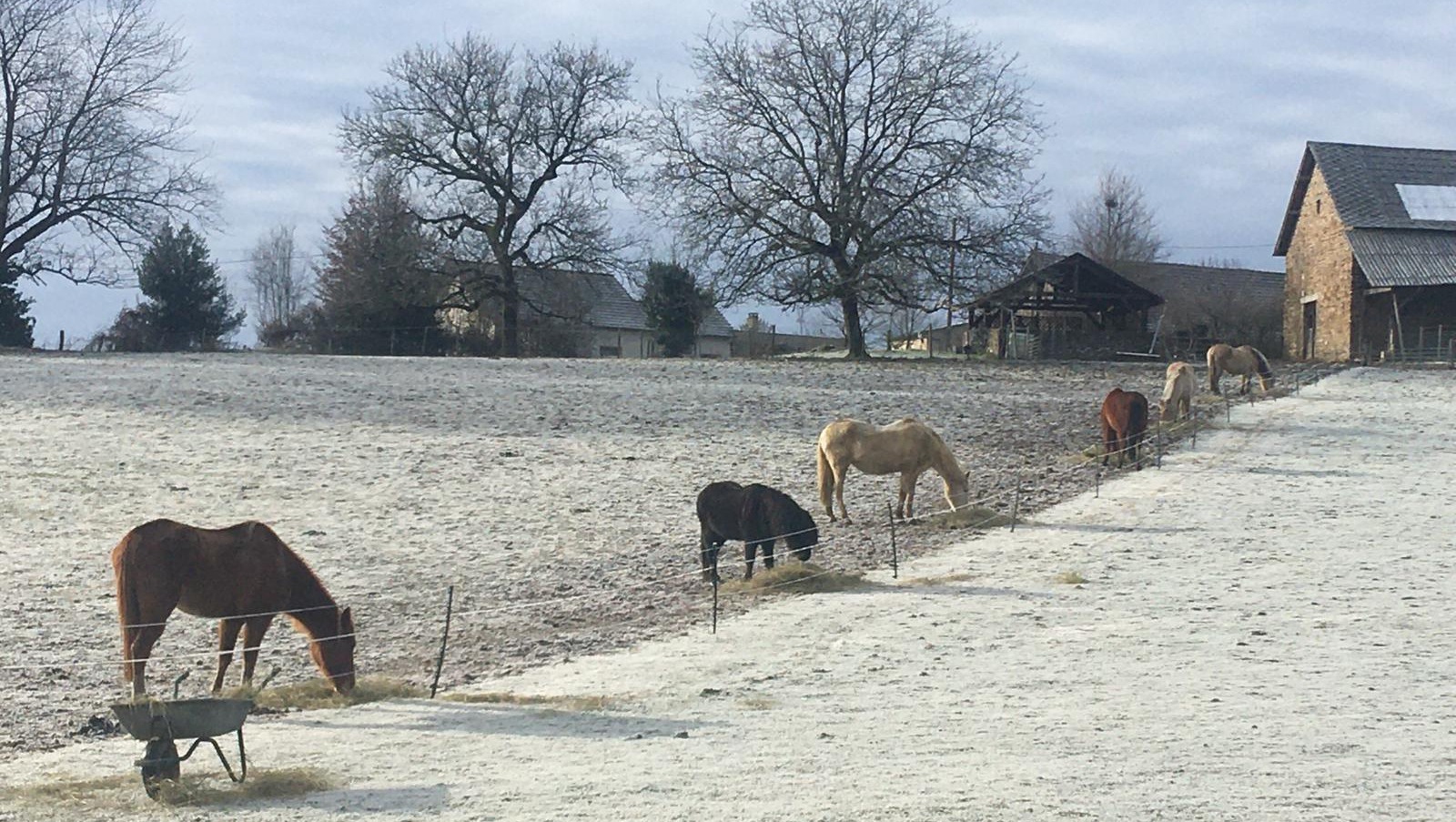 Fundraiser by Linda Palmer : Jollity Farm needs help to survive the winter