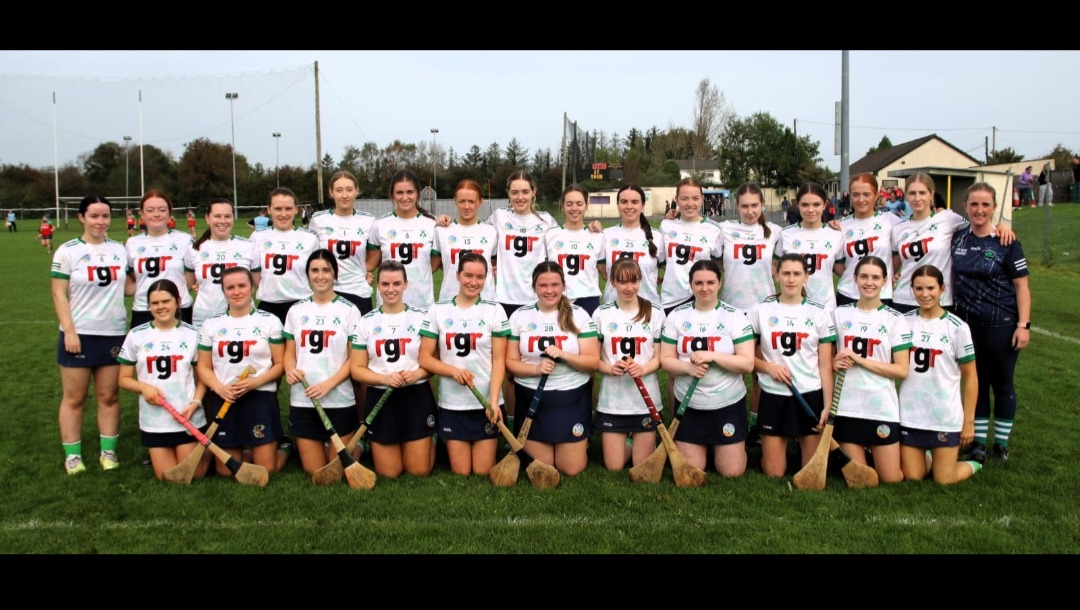 Fundraiser by Shamrocks Camogie : Shamrocks Intermediates Road to ...
