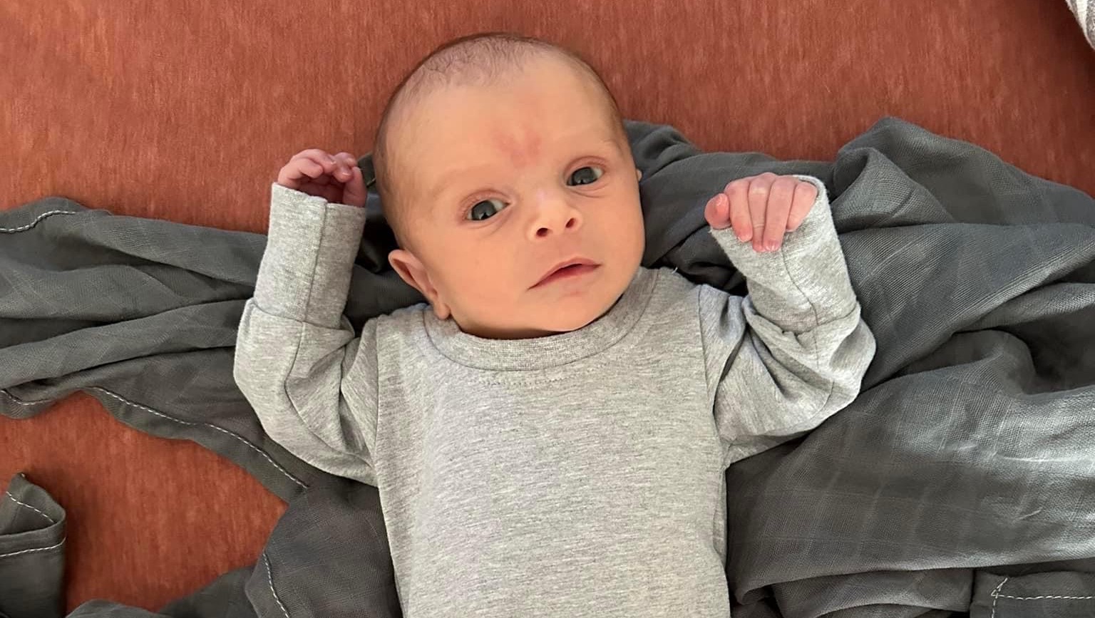 Fundraiser for Brittany Becraft by Silvana Emnott : In Memory of Nixon ...