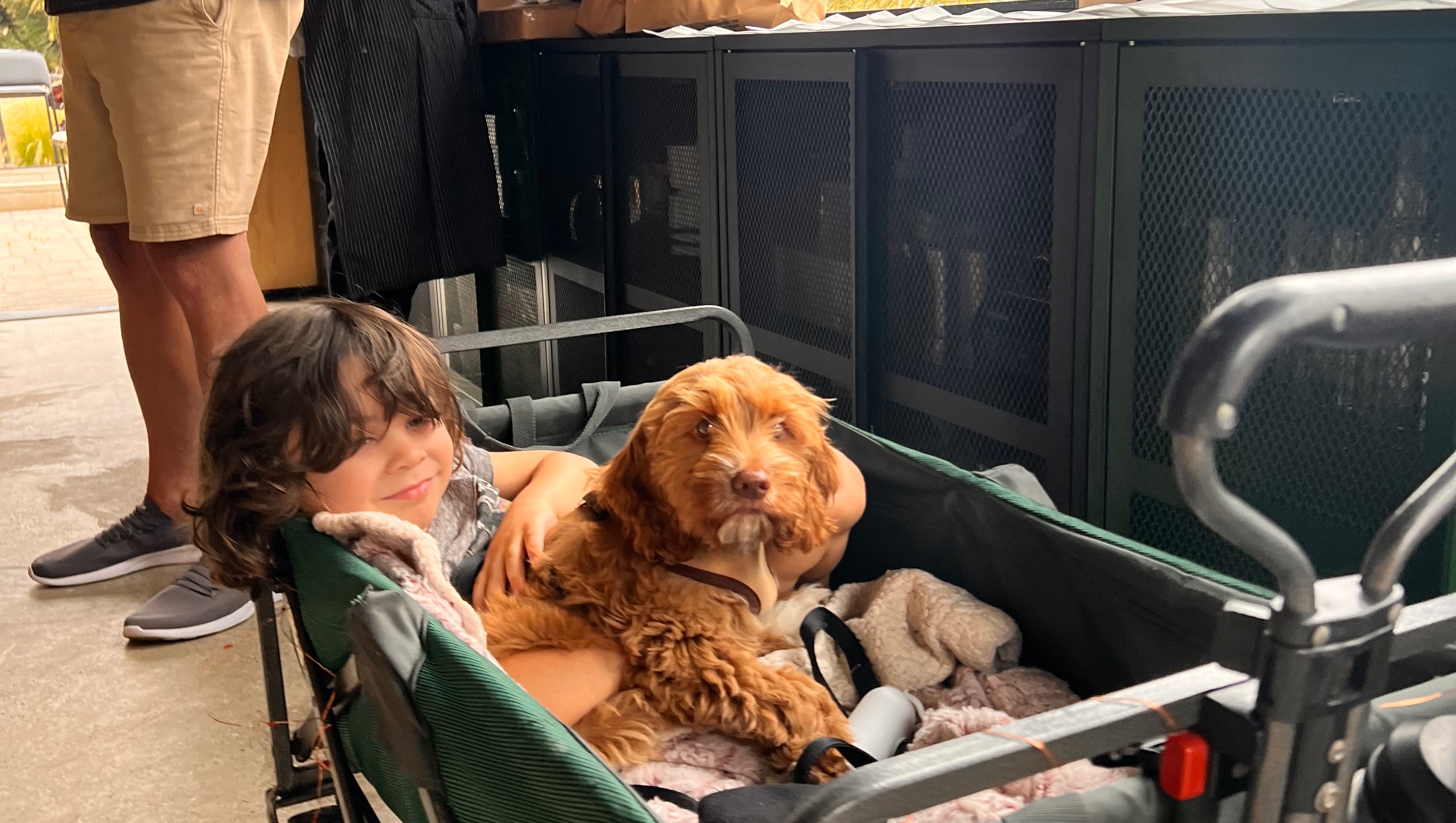 Fundraiser by Andrew Bachelier : Charlie our restaurant dog