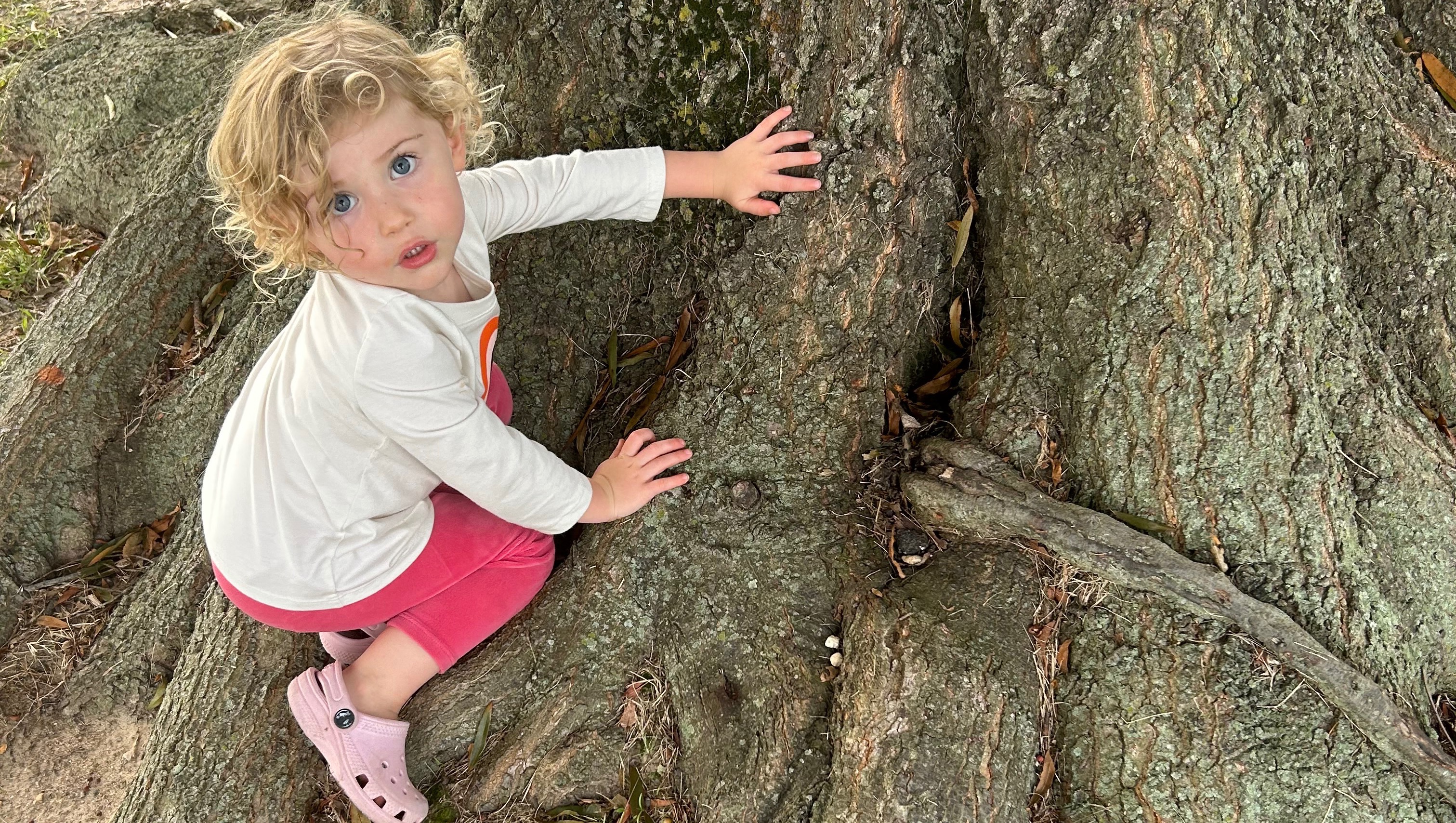 Fundraiser by Lacie Prahl : Fund for Freya’s future in honor of Justin ...