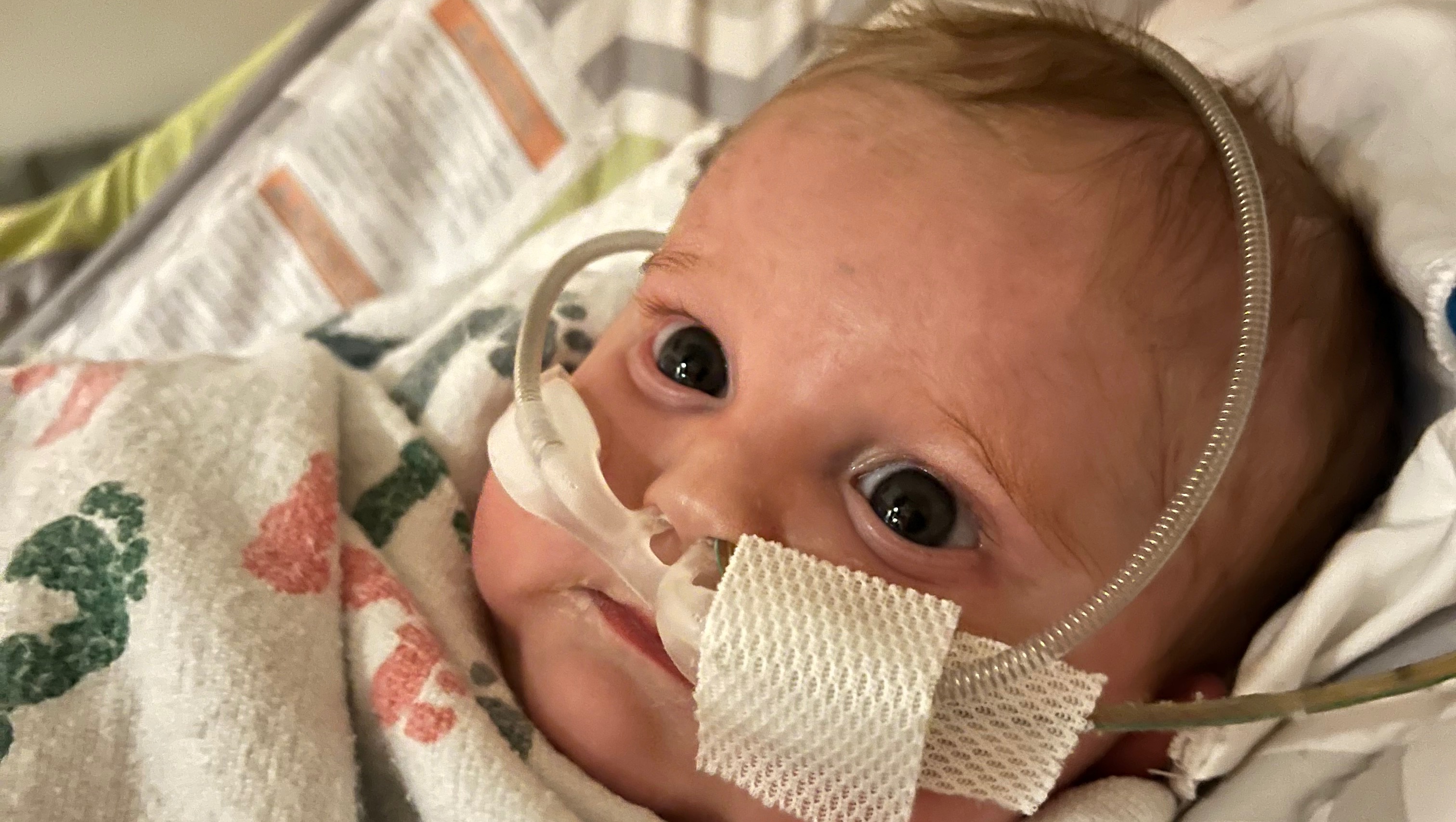 Fundraiser for Jeffrey Holbrook by Savanna Mancuso : Support the ...