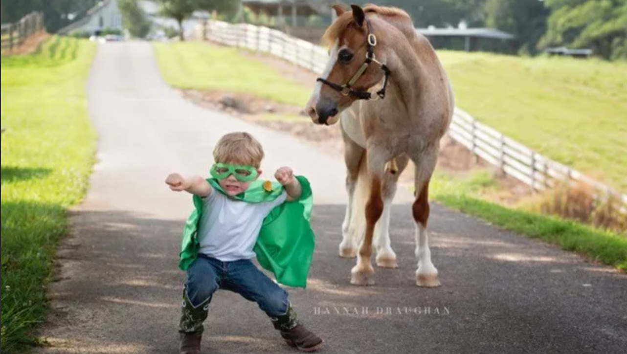 Fundraiser by Resource Solutions : Angel Heart Farms