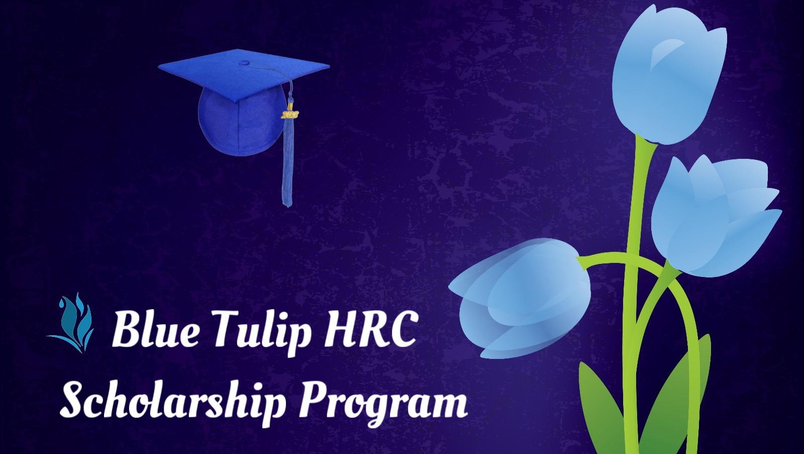 Fundraiser by Blue Tulip : Blue Tulip HRC Scholarship Program