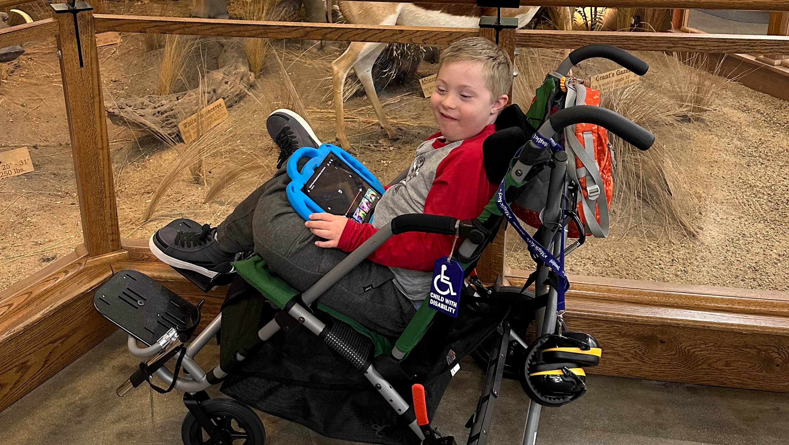 Fundraiser by Janine Brodeur : Companion - Service Dog for Down ...