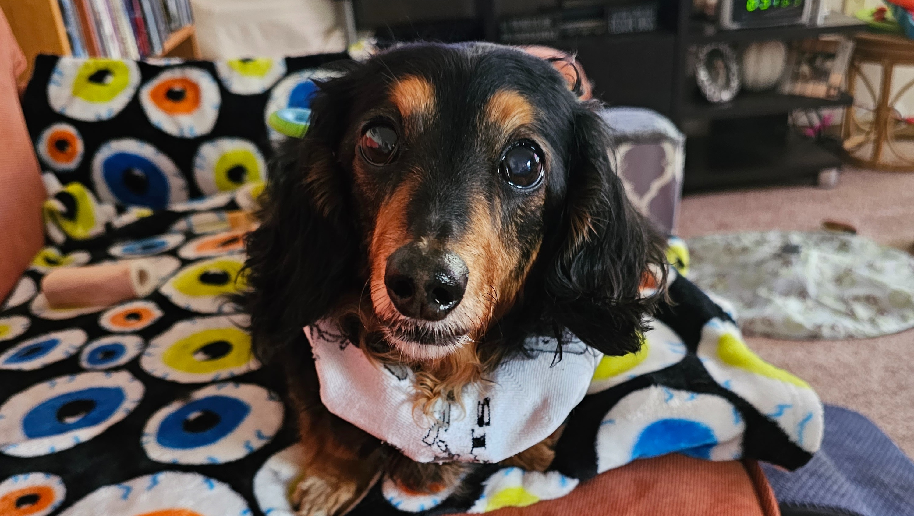 Fundraiser by Judy Raines : Senior with emergency