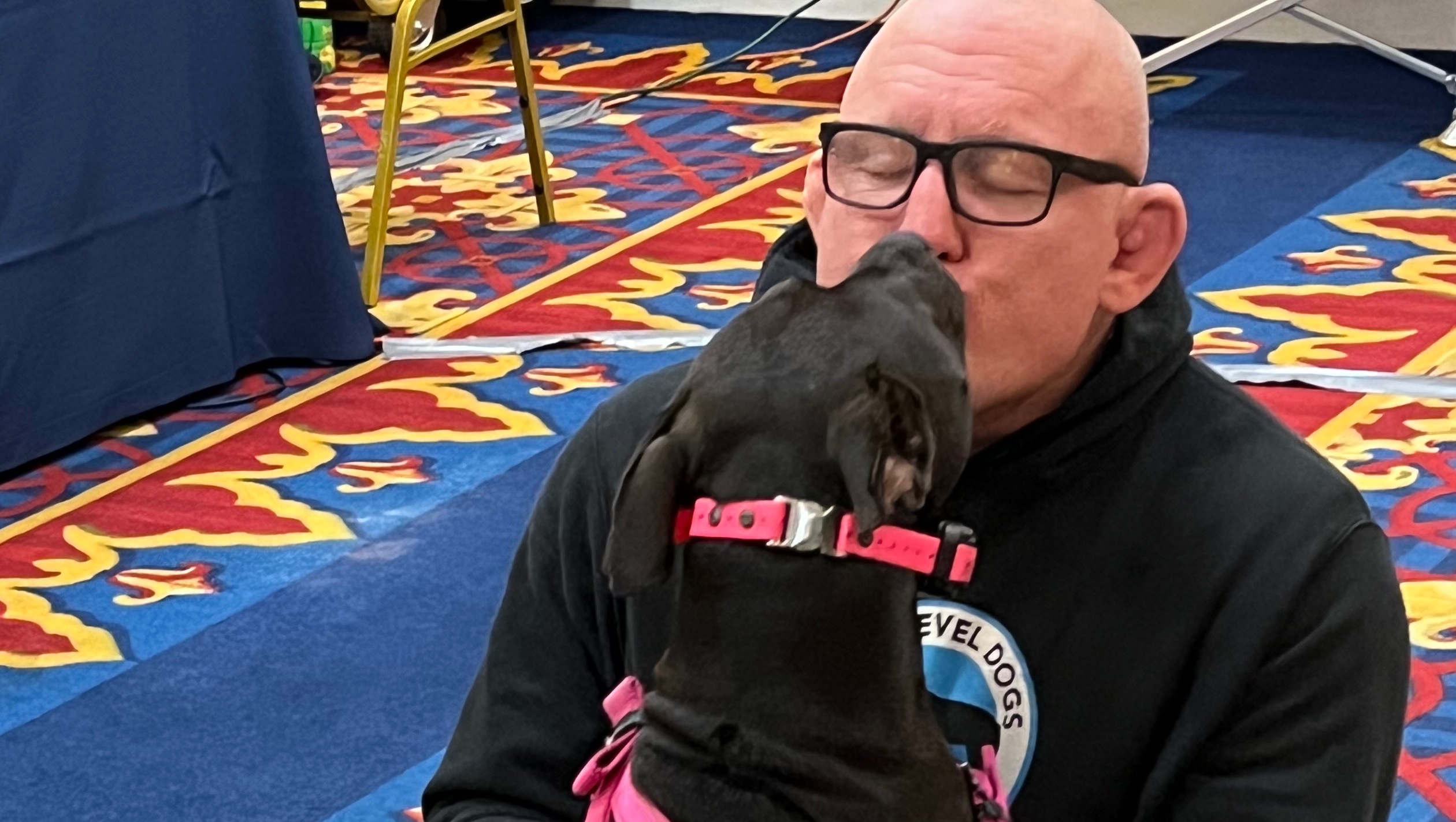 Fundraiser for David Hopkinson by Kim Barber : Donate to help Jay Jack ...