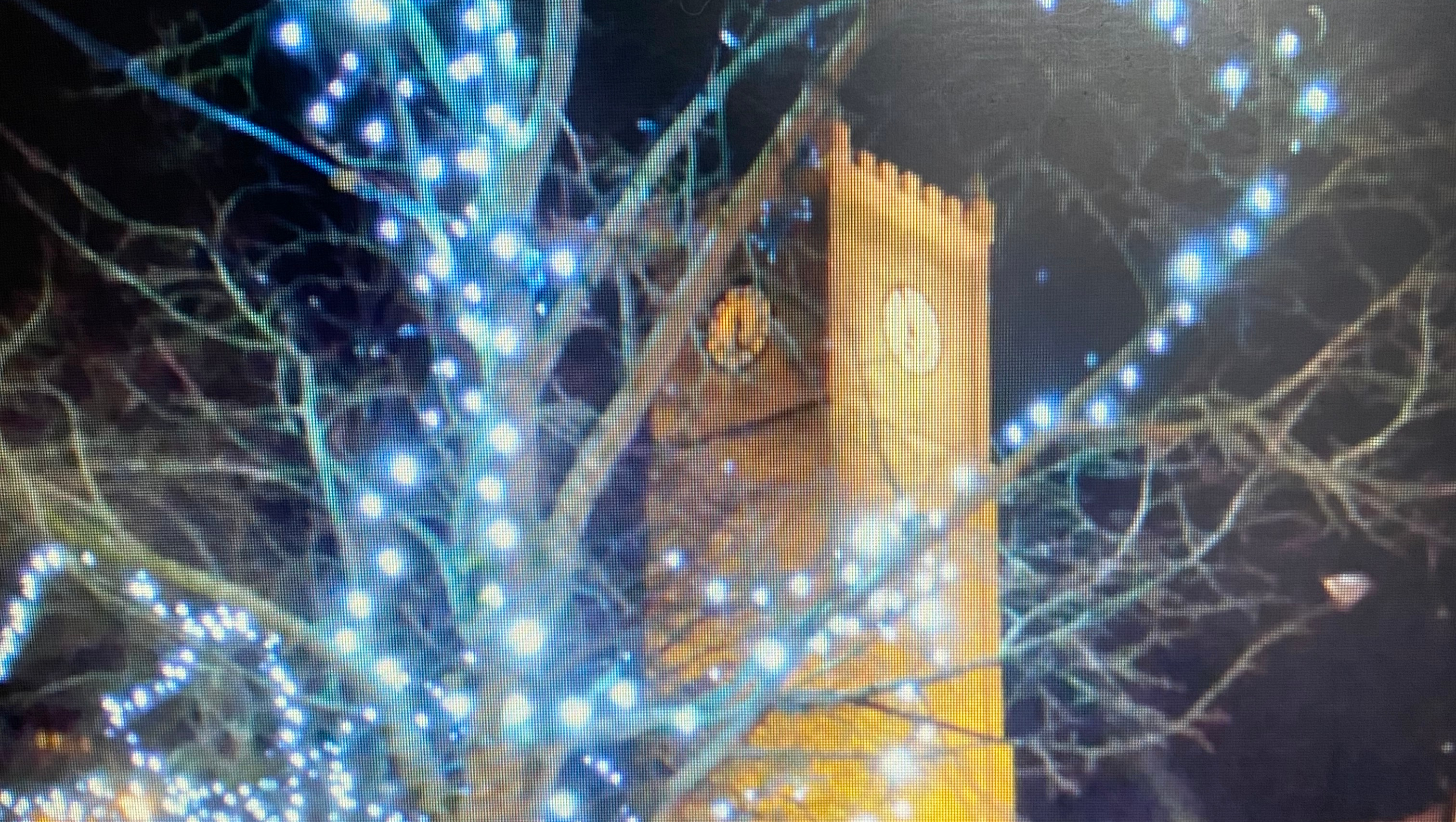 Fundraiser by joseph Mc Carron : Raphoe Town Christmas Lights