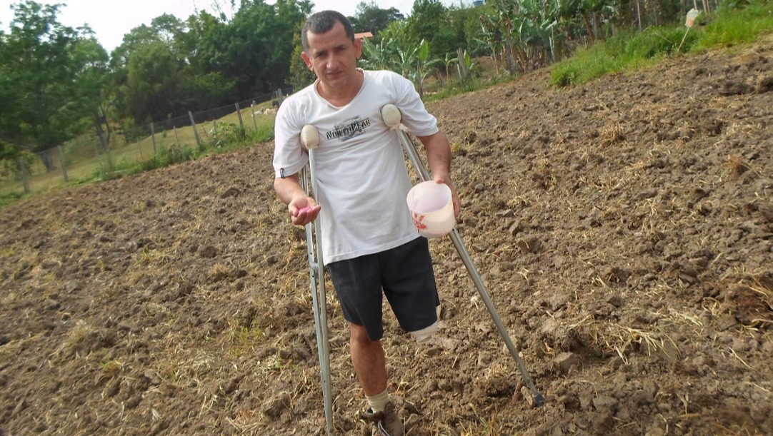 Fundraiser by Lais Tichy Wallace : The Motta Family