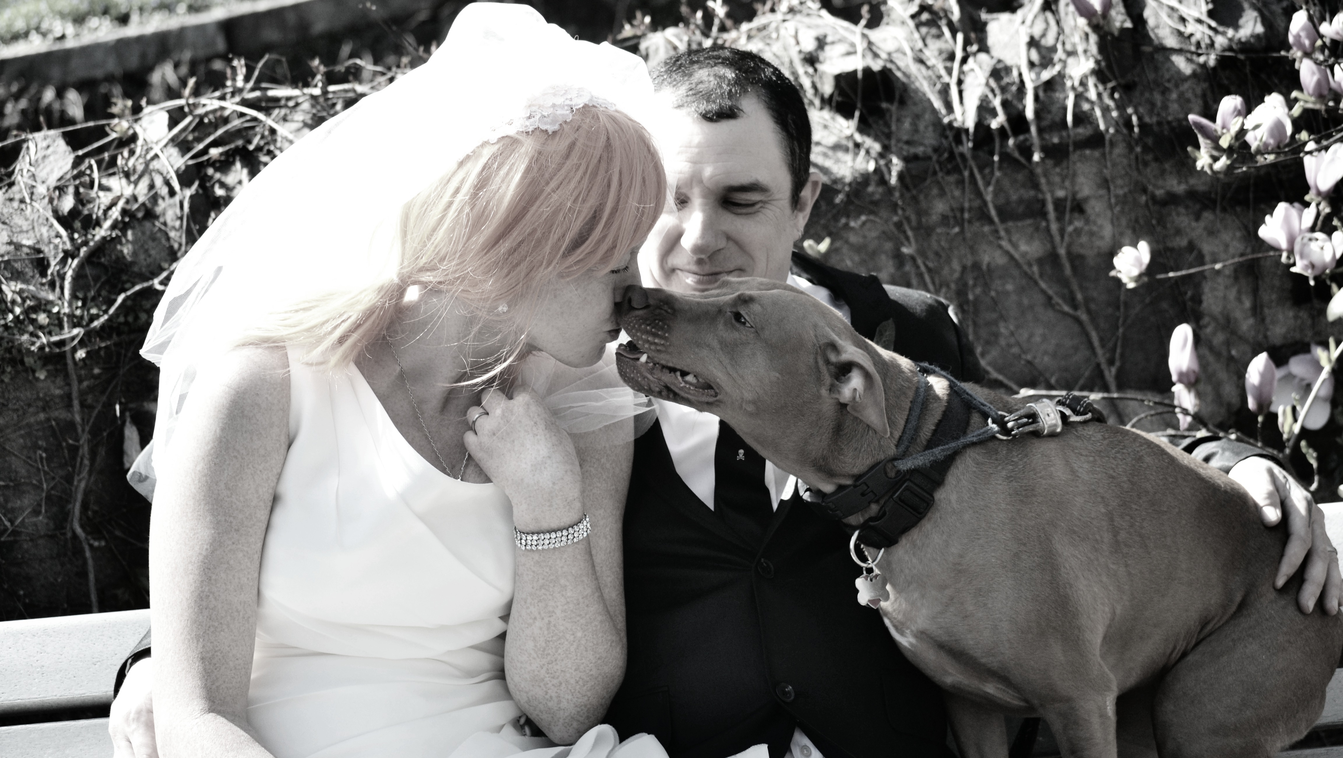 Fundraiser for Matthew Ray by Mary Katrina McCormick : Help me help my ...