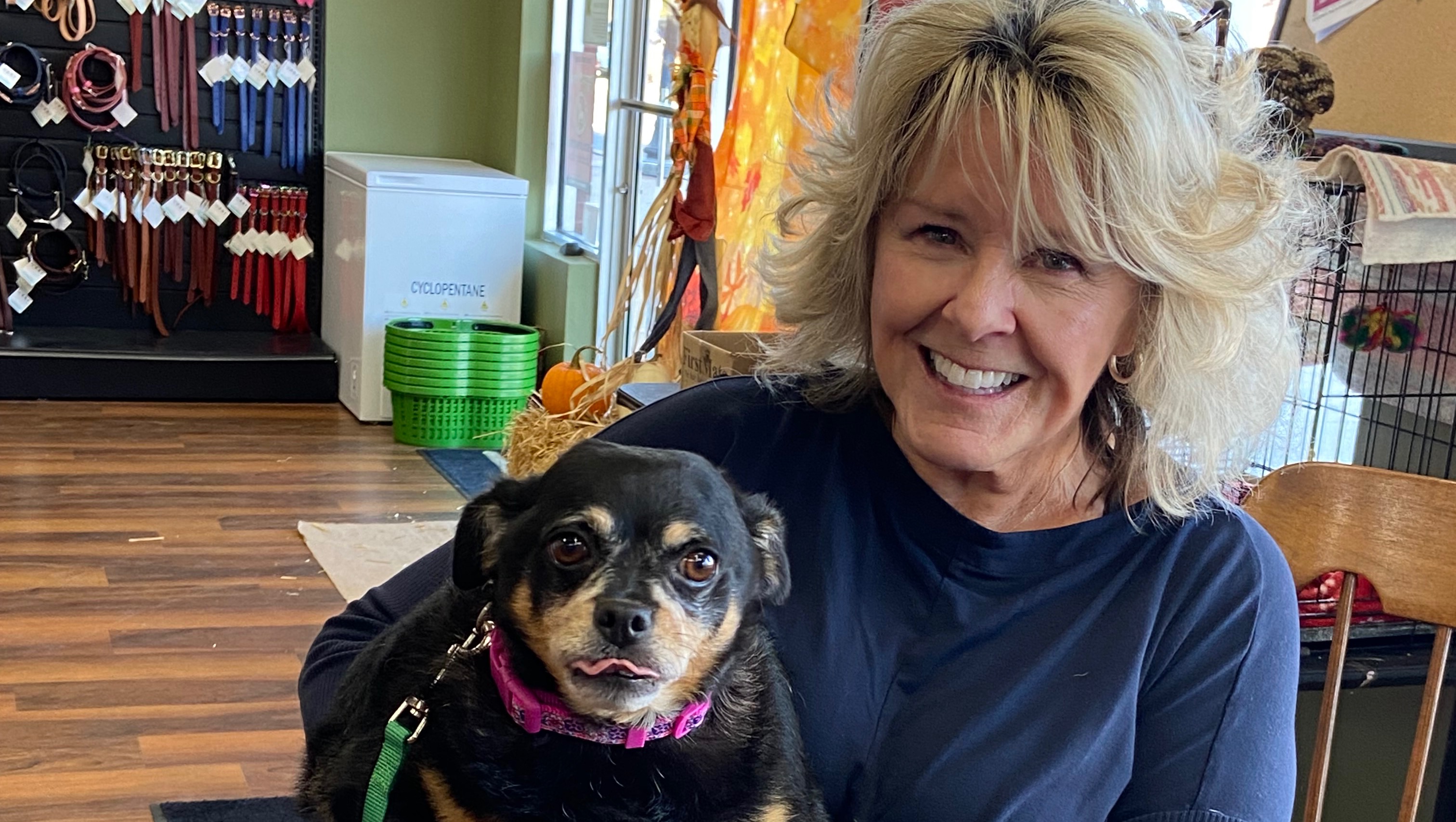 Fundraiser by Sherry Russell : Help Ruby (Rue) get her much needed ...