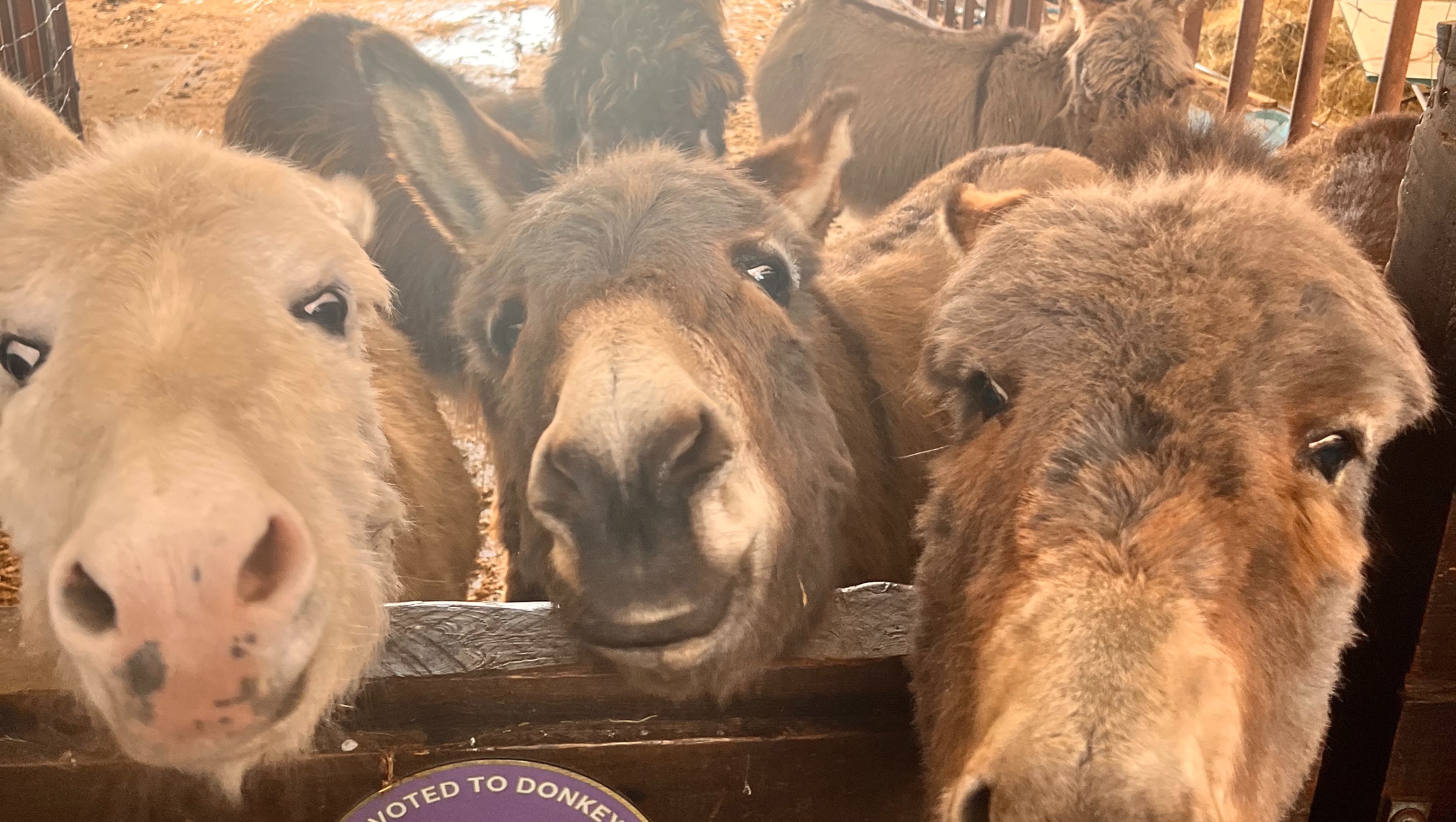 Fundraiser by Vision of Hope : Raise money for Vision of Hope