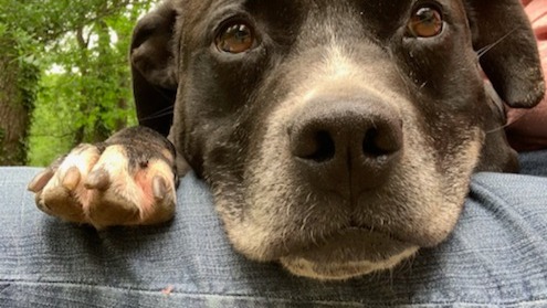 Fundraiser for Catherine Howell by Errol Greene : Please Help Give ...