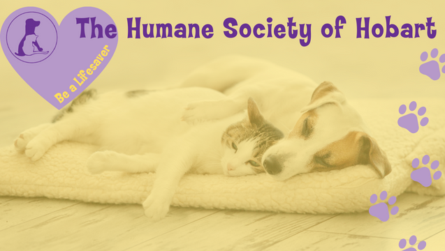Fundraiser by Board of Directors HSH : Keep The Humane Society of ...