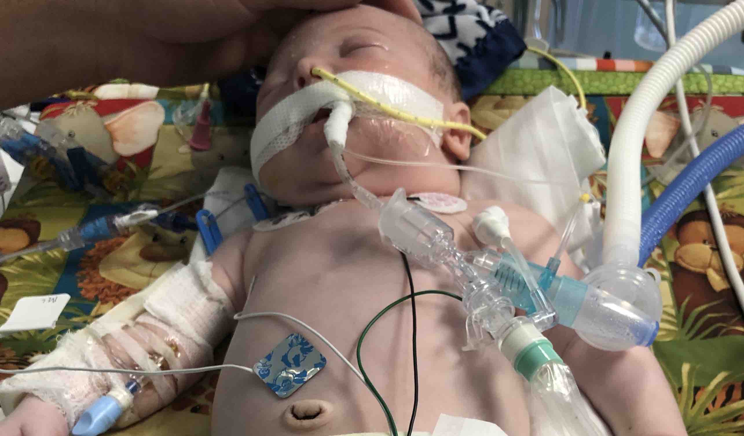 Fundraiser by Billie Mathes : Tanner Ray